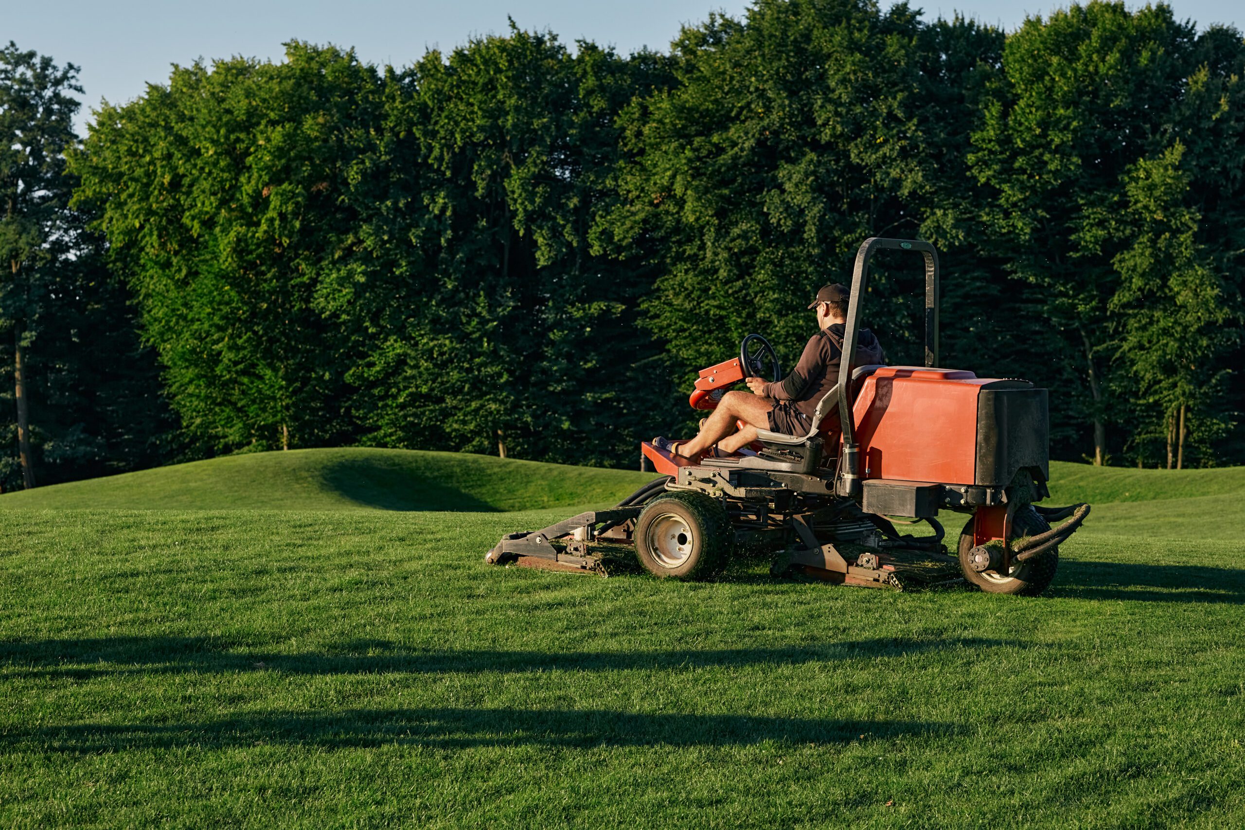 Greenkeeper. Golf course maintenance worker, cutting green grass ...